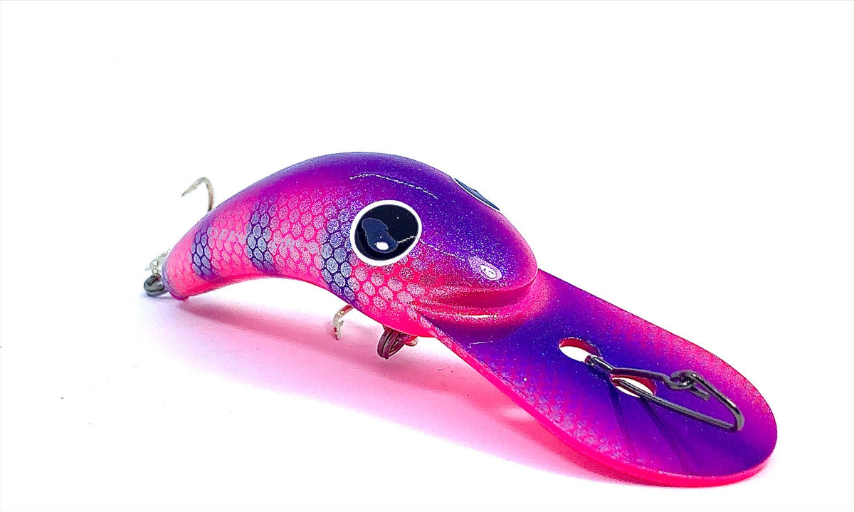 Gidgee Wilbarra Fatty – Lake Mulwala Fish Camp Ski